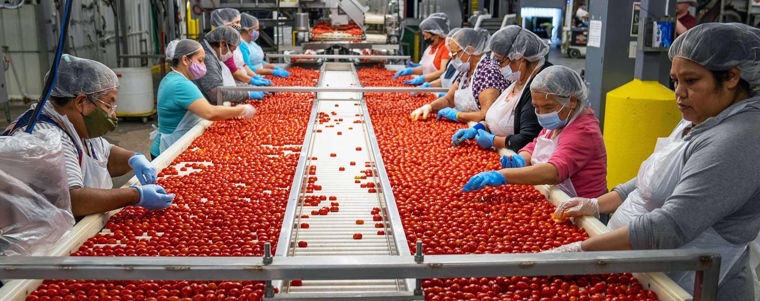 Building Trust In Food & Ingredient Safety In An All Or Nothing World ...