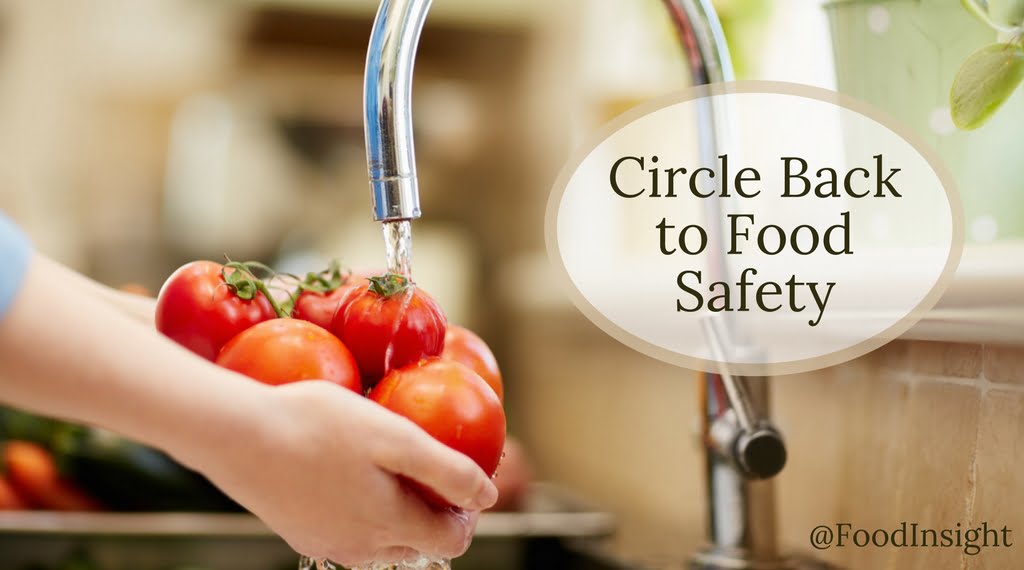Spin the "Sphere of Food Safety" [INFOGRAPHIC] - IFIC