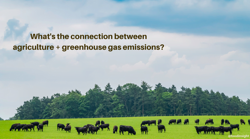 Agriculture and Greenhouse Gas Emissions - IFIC