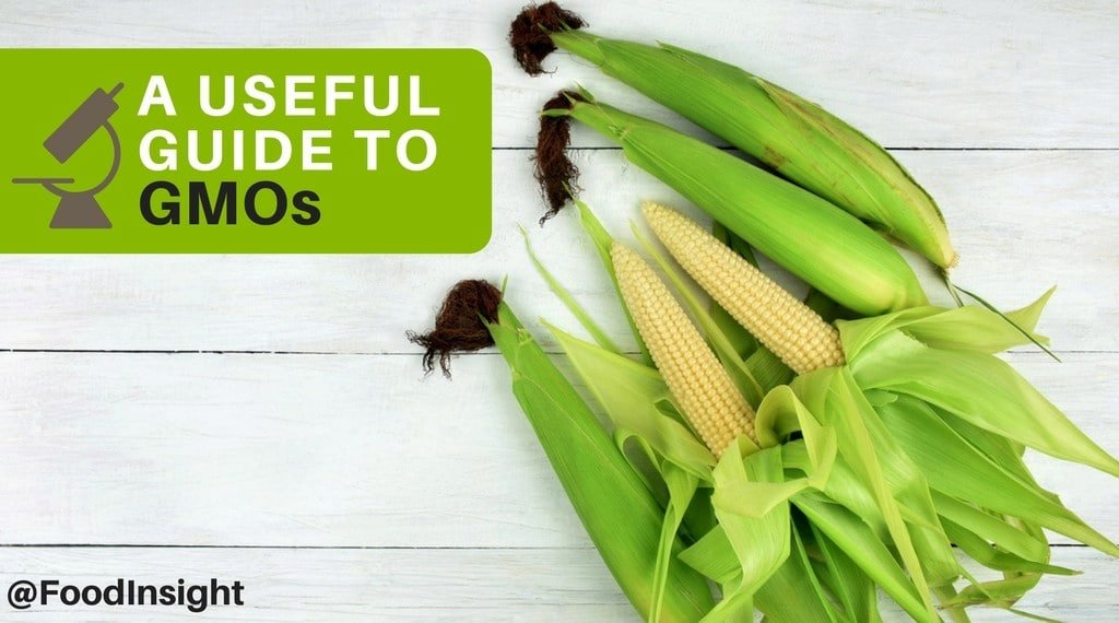 A Useful Guide to Understanding GMOs - IFIC